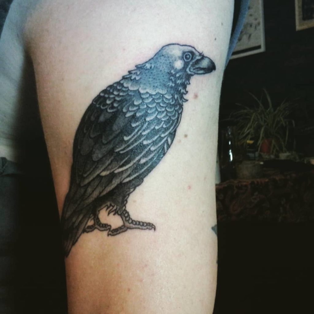 Tatuajes De Cuervos: Tedencias Modernas Y Nuevas Para Los Amantes De ...